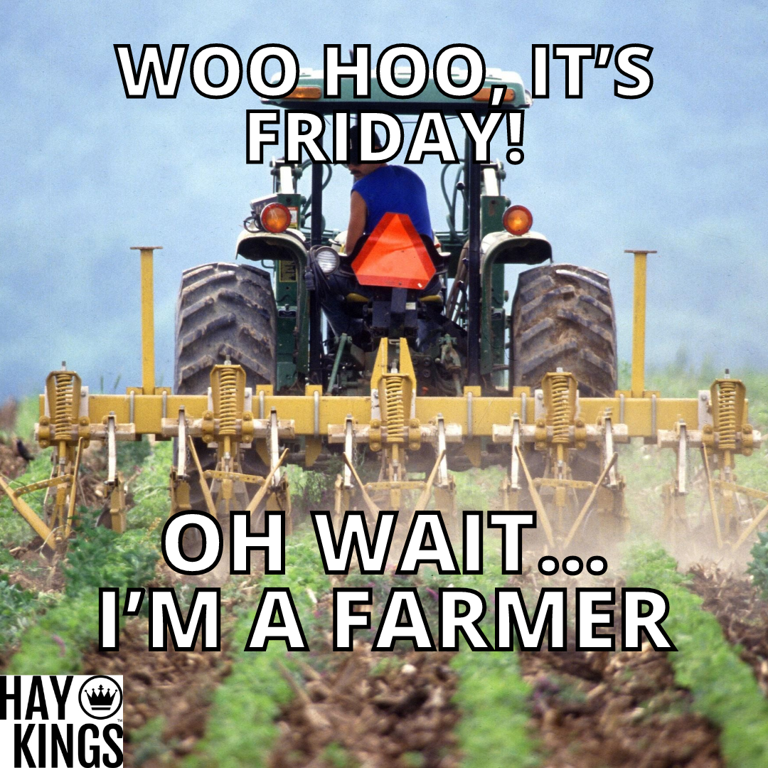 Hay Farmer Memes