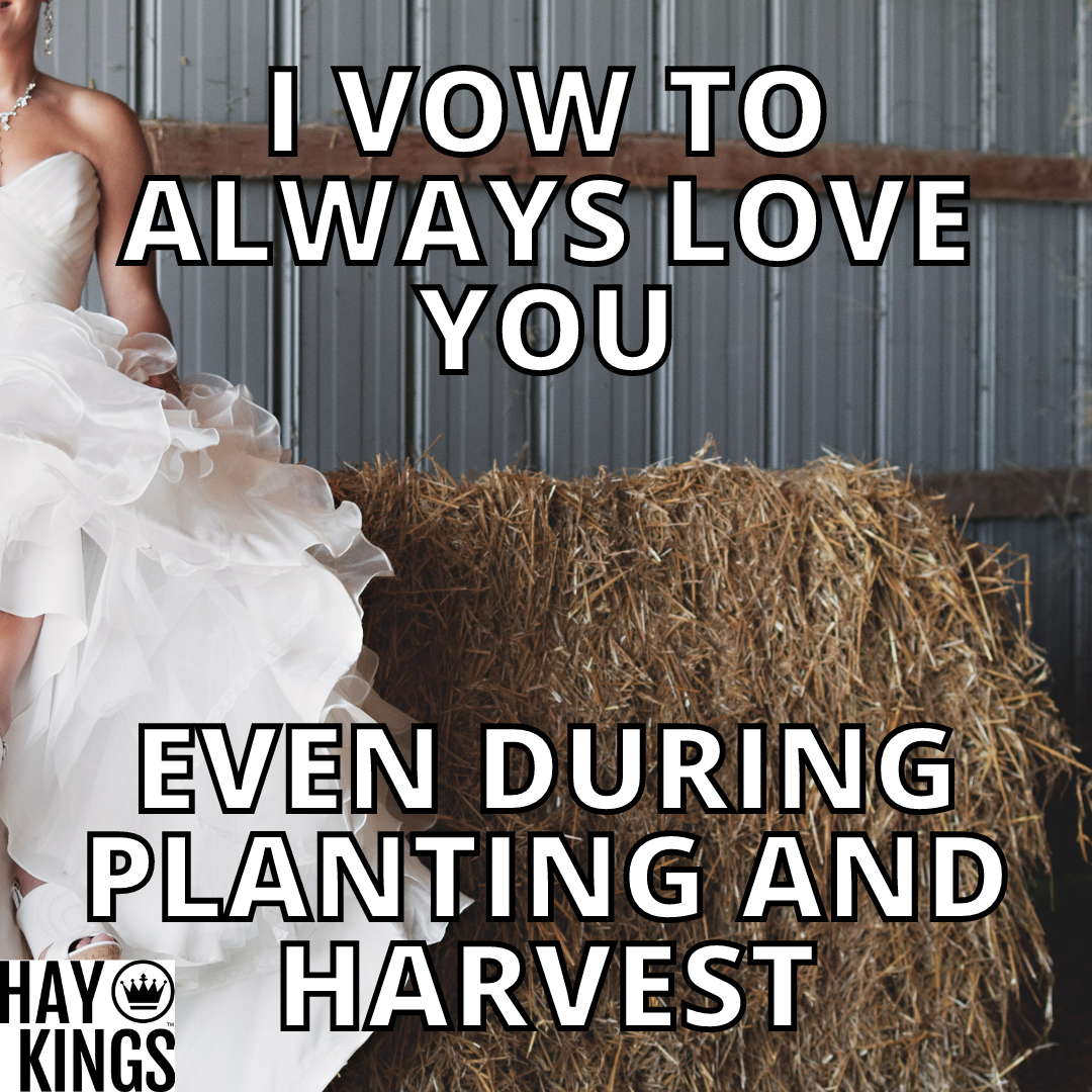 Timing Your Triticale: When to Plant Forage Triticale – Hay Kings