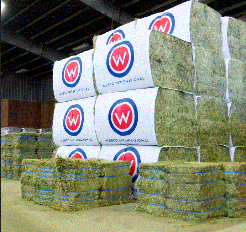 Hay Kings: Hay Exports - Reckoning and Renewal (S9:E3)