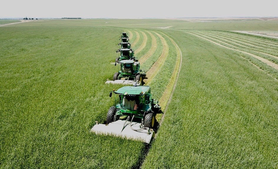 Timothy Heads to China – Hay Kings